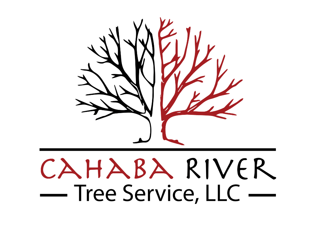 About - Cahaba River Tree Service
